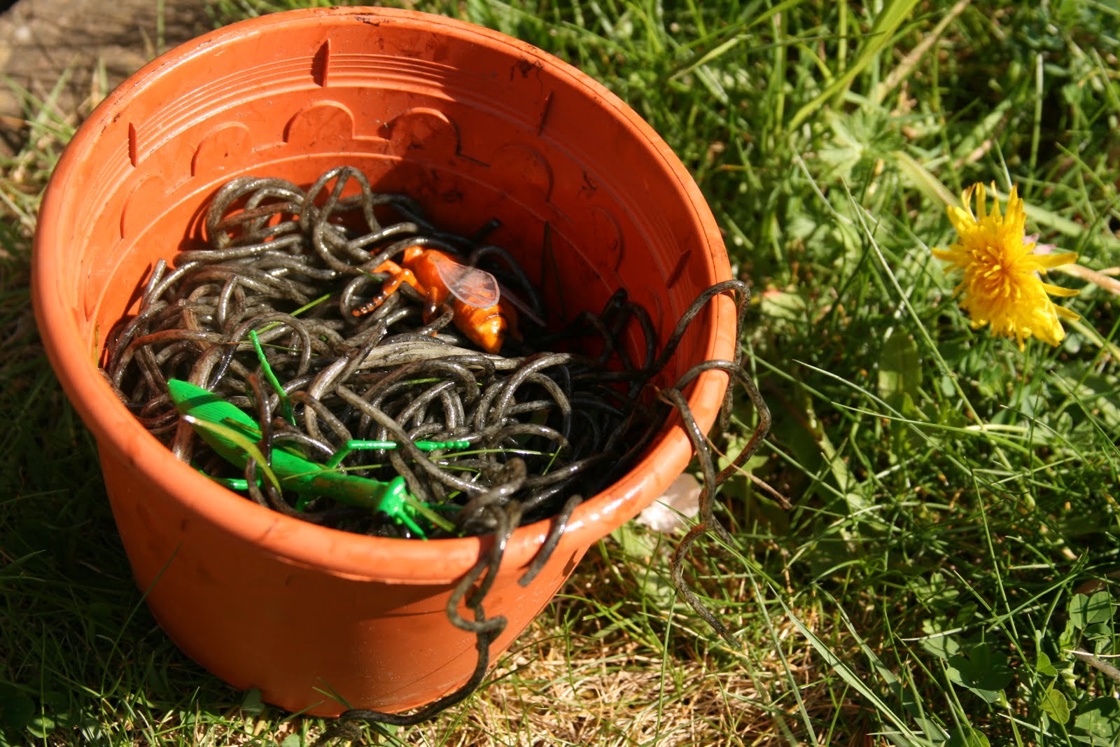 Slimy Bug Spaghetti All For The Boys