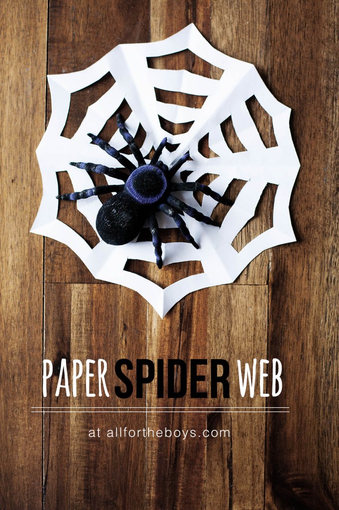 Paper Spiderweb — All for the Boys