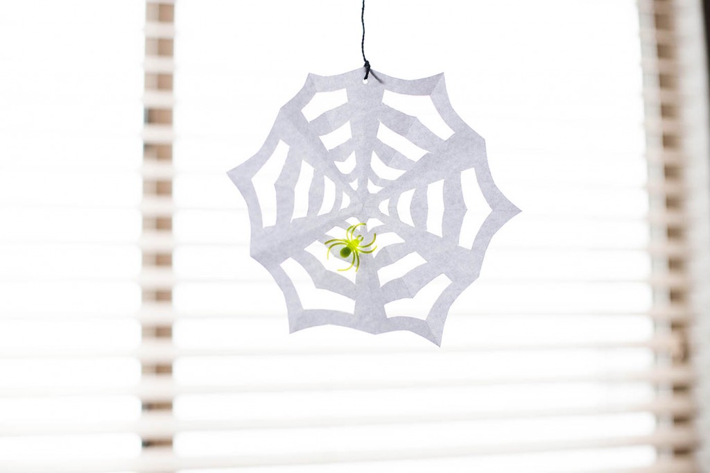 Paper Spiderweb — All for the Boys