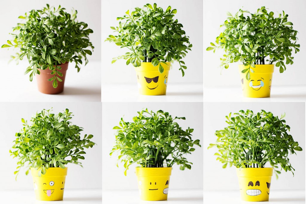DIY Emoji Flower Pot - How Are You Feeling Today? — All for the Boys