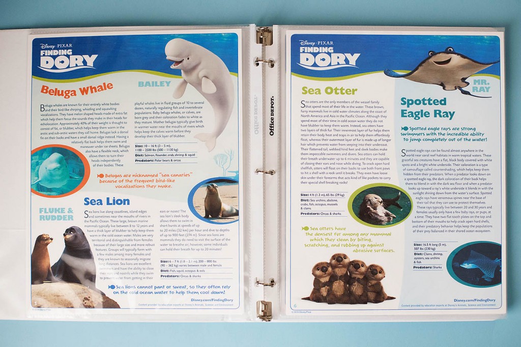 Finding Dory Printable Educational Activity Book — All for the Boys