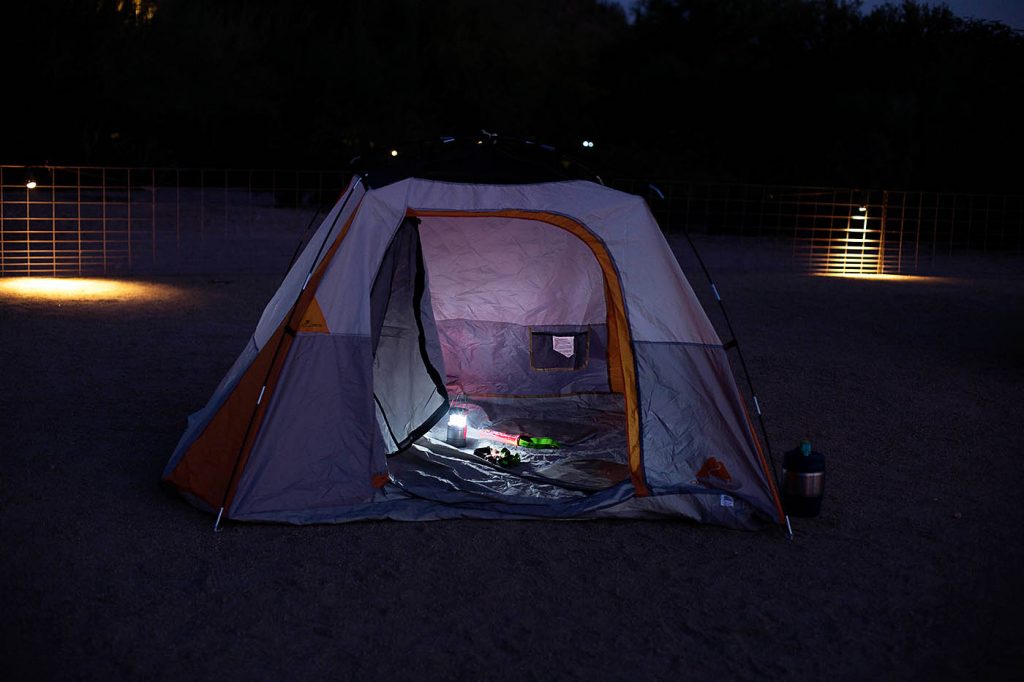 Phoenix Summer: Flashlight Tours at Desert Botanical Garden — All for ...