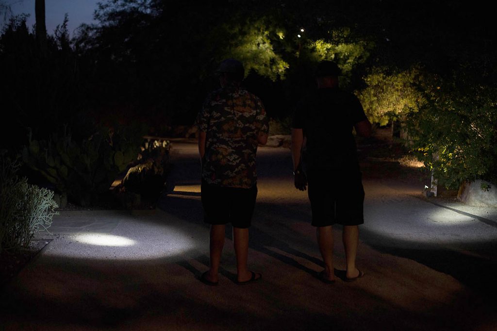 Phoenix Summer: Flashlight Tours at Desert Botanical Garden — All for ...
