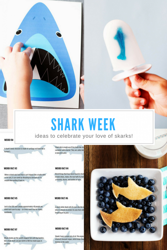 Shark Week Activities — All for the Boys