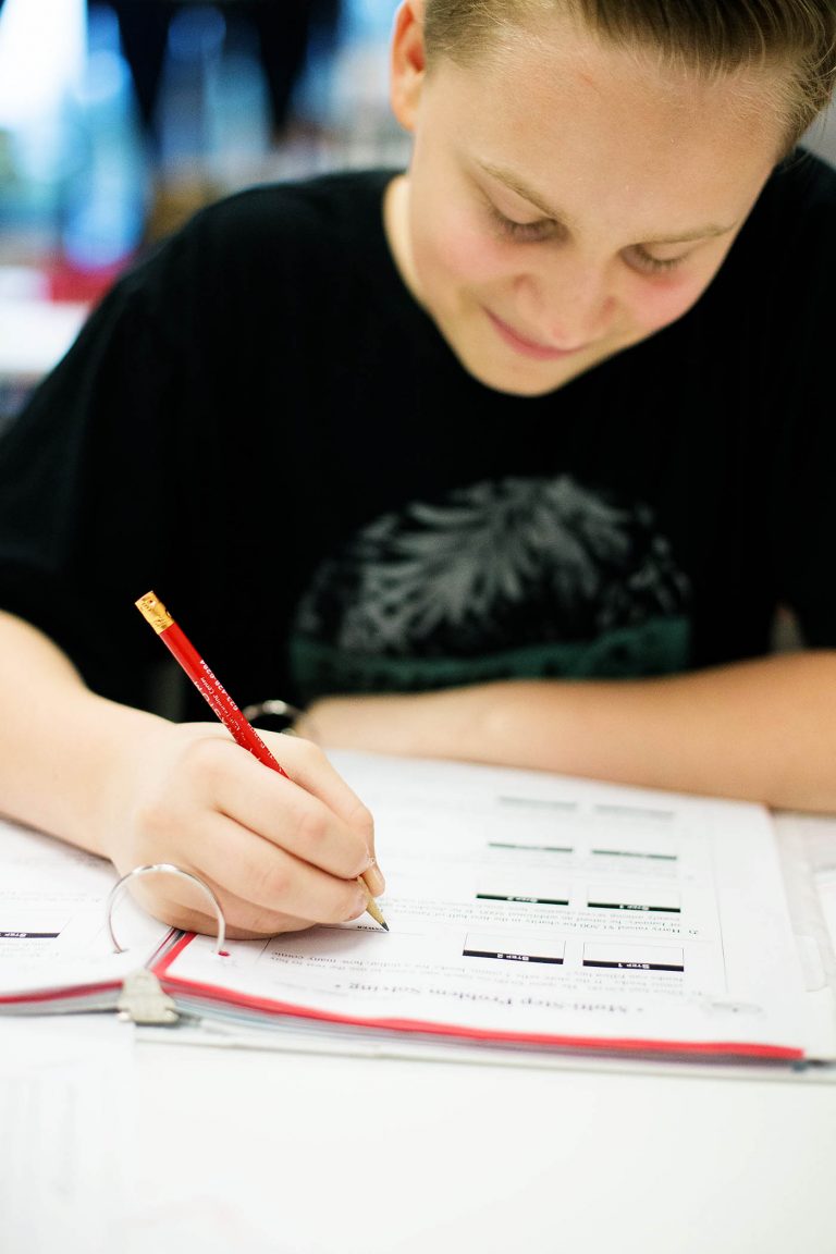 Mathnasium: Helping Kids Learn WHY Mathematical Rules Work — All for ...