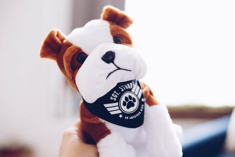 Sgt. Stubby: An American Hero On Blu-ray + Printable Activity Book ...